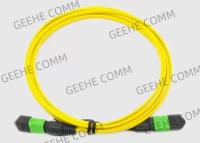 China OM2 3.0mm Female to Female MTP MPO Fiber Patch Cable 12-Core Multimode for sale