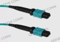 China Pre Terminated 2M 40G 16F MPO Trunk Cable for sale