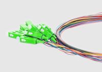 China Single Mode 12 Cores LSZH 0.9mm SC UPC Pigtail for sale