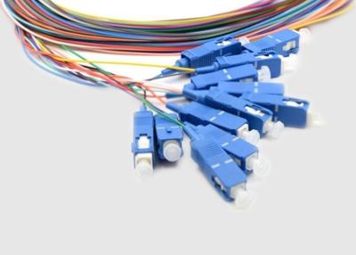 China Outdoor 12 Core SC Fiber Optic Pigtail 1m Single Mode 9/125um for sale