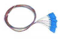China Outdoor 12 Core SC Fiber Optic Pigtail 1m Single Mode 9/125um for sale
