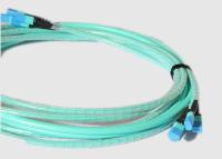 China 12 Core OM4 MTP Trunk Cable MPO to MPO OFNP Low Loss 100G Data Center for sale