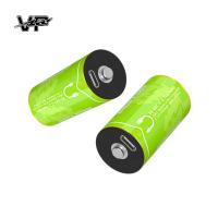 China 7400mWh C Size VP Stable 1.5V Lithium Ion Battery With USB-C Charge Port for sale