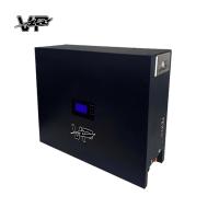 China 6000 Cycle Life LiFePO4 Energy Storage Battery VP Solar Lithium Battery Power Bank for sale
