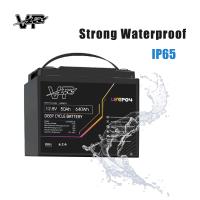 China 12V 50Ah LiFePO4 Auto Rechargeable Lithium Ion VP Custom Battery Pack With Smart BMS for sale