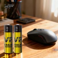 China OEM Primary Cell VP Zinc Manganese lr6 AA Am3 1.5v Dry Alkaline Battery for Remote Controls for sale
