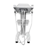 China 2024 Newest Dcool Skin Cool Hot electroporation RF Skin Rejuvenation Care Device Beauty Equipment for sale