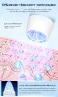 China Home Spa Facial Microneedle Therapy Machine With Auto Stop Overheating Protection for sale
