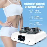 China Tesla EMS Beauty Instrument 2 Handles Intensity Pulsed Electromagnetic RF 5000W for sale