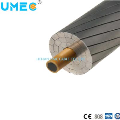 China High Temperature Bare Aluminum Stranded Conductor Accc Cable for Overhead Distribution for sale