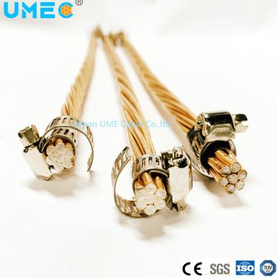 China Third Party Inspection Accepted Low Carbon Steel Conductor Copper Clad Steel Wire CCS for sale