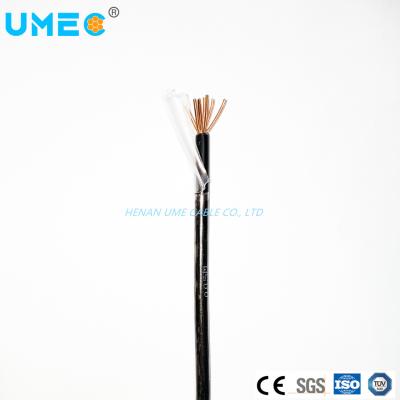 China Low Voltage 450/750V 600V Thhn 6AWG 8AWG 10AWG 12AWG Nylon Cable with PVC Insulation for sale