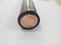 China Yjv Copper XLPE Insulated PVC Sheathed 1 Core 16mm Power Cable Outdoor Engineering Cable 0.6/1 Kv Equipment Wire Cable for sale