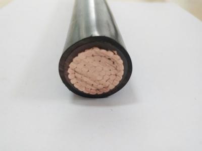 China Yjv Copper XLPE Insulated PVC Sheathed 1 Core 16mm Power Cable Outdoor Engineering Cable 0.6/1 Kv Equipment Wire Cable for sale