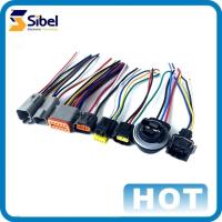 China Customized Auto Electrical Wire Pigtail Wire Harness Loom Automotive Cable Assembly for sale