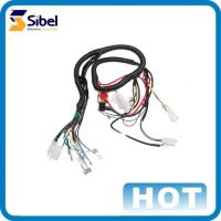 China Customized Auto Electrical Wire Pigtail Wire Harness Loom Automotive Cable Assembly for sale