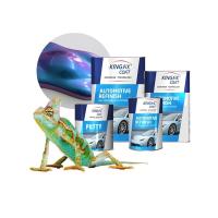 China Waterproof Chameleon Acrylic Paint for sale