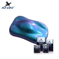China Super Fast Dry Chameleon Car Paint for sale