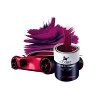 China Adhesion Durability UV Protection Fast Dry Acrylic Auto Primer for sale