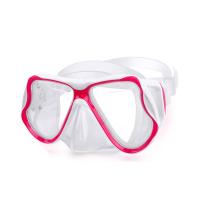 China Full Dry Diving Anti Fog Swimming Goggles Customized Logo available for sale