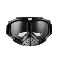 China Windproof Cool Dirt Bike Goggles With High Transparency ARC PC Lens for sale