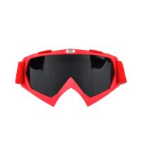 China Anti - Fog Display Snow Ski Goggles Glass Snowboard Eyewear for sale