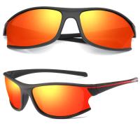 China Shatter Proof Polarized Cycling Sunglasses For Women for sale