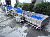 China Fruit And Vegetable Washing Machine with Feathers and 220V Voltage for sale