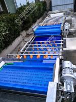 China Fruit And Vegetable Washing Machine with Feathers and 220V Voltage for sale