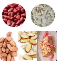 China 304 Stainless Steel Multifunction Vegetable Cutting Machine Automatic Cashew Nut Slicer for sale