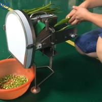 China Single Head Multifunction Vegetable Cutting Machine Chopped Green Onion 220V Easy To Operate for sale