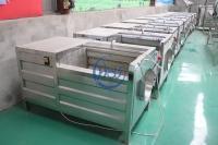 China Rotary Type Sweet Potato Peeler Machine Ginger Peeling Equipment for sale