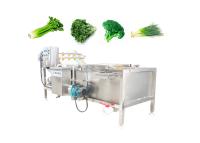 China Stainless Steel Carrot Vegetable Washing Machine for sale