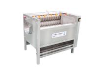 China Vegetable Washing Machine Small One Yam Continuously Vegetable Washing Machine With New Type for sale