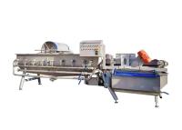 China AC380V 50HZ 1000KG/H Vortex Type Vegetable Washing Machine for sale