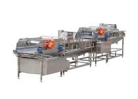 China 50HZ 4KW 1000KG/H Vegetable Vortex Cleaning Machine for sale