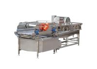 China AC380V 50HZ 1000KG/H Vortex Type Vegetable Washing Machine for sale
