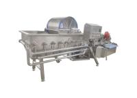 China 50HZ 4KW 1000KG/H Vegetable Vortex Cleaning Machine for sale