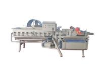 China 50HZ 4KW 1000KG/H Vegetable Vortex Cleaning Machine for sale