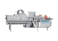 China 50HZ 4KW 1000KG/H Vegetable Vortex Cleaning Machine for sale