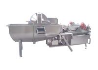 China Turbine Type Industrial 1TPH Vegetable Washing Machine for sale