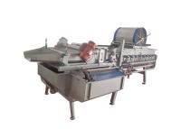China Turbine Type Industrial 1TPH Vegetable Washing Machine for sale