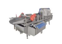 China Turbine Type Industrial 1TPH Vegetable Washing Machine for sale