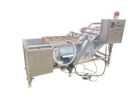 China Restaurant Fruit Bubble 500kg/h Vegetable Ozone Cleaning Machine for sale