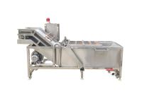 China Restaurant Fruit Bubble 500kg/h Vegetable Ozone Cleaning Machine for sale
