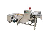 China Air Bubble SS304 3.75KW Ozone Fruit Washing Machine for sale
