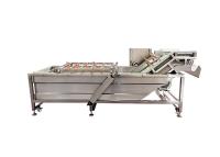 China Water Circulation 500kg/H SS304 Fruit Washing Machine for sale