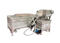 China Air Bubble Ozone 500kg/H Vegetable Fruit Washing Machine for sale