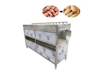 China Fruit Apple Raisin Removing Impurity Polishing Vegetable Washing Machine for sale