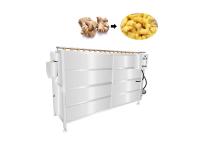 China 2000kg/h SUS304 Vegetable Screw Peeling Washing Machine for sale